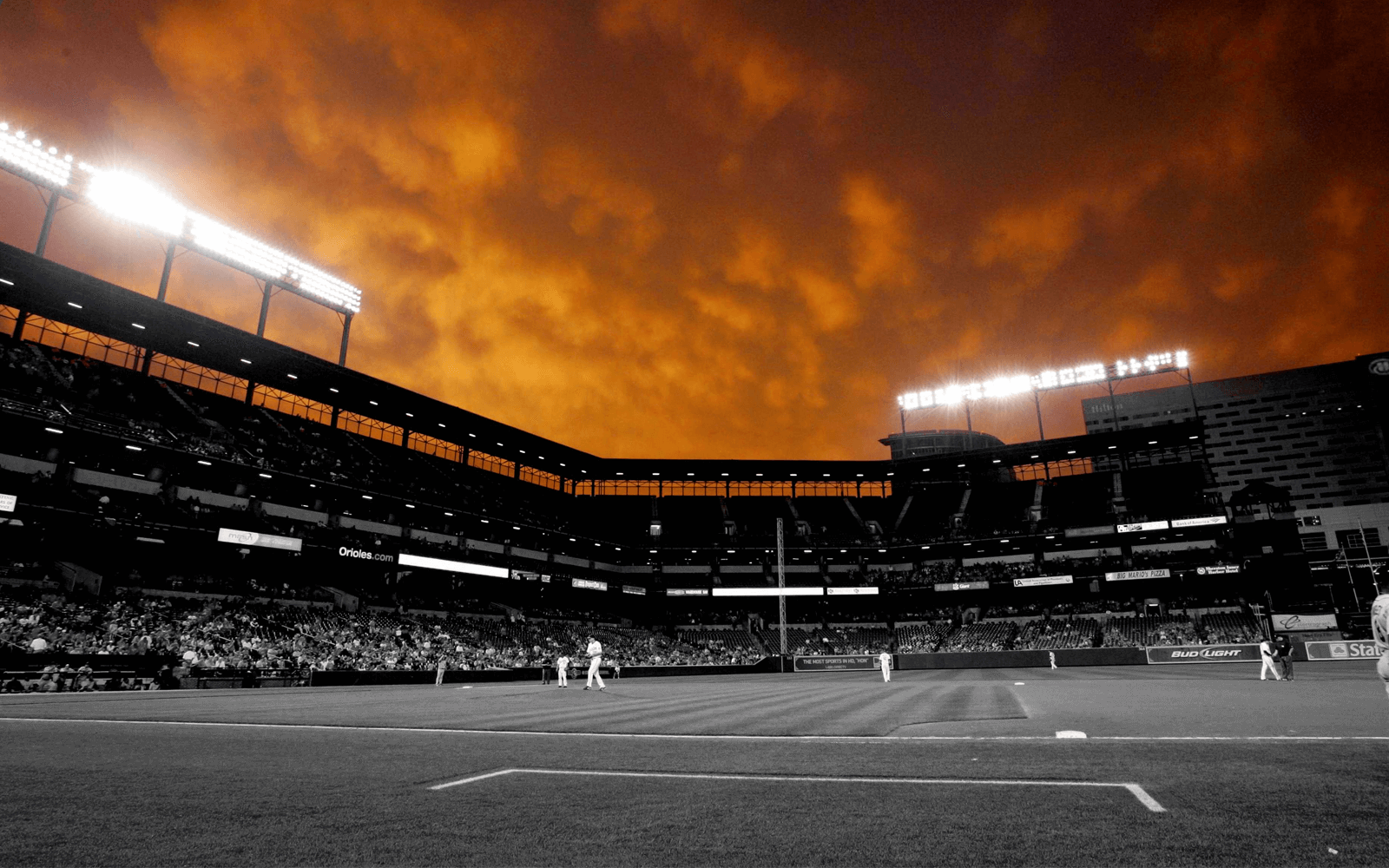 Home. - Orange Sports Forum